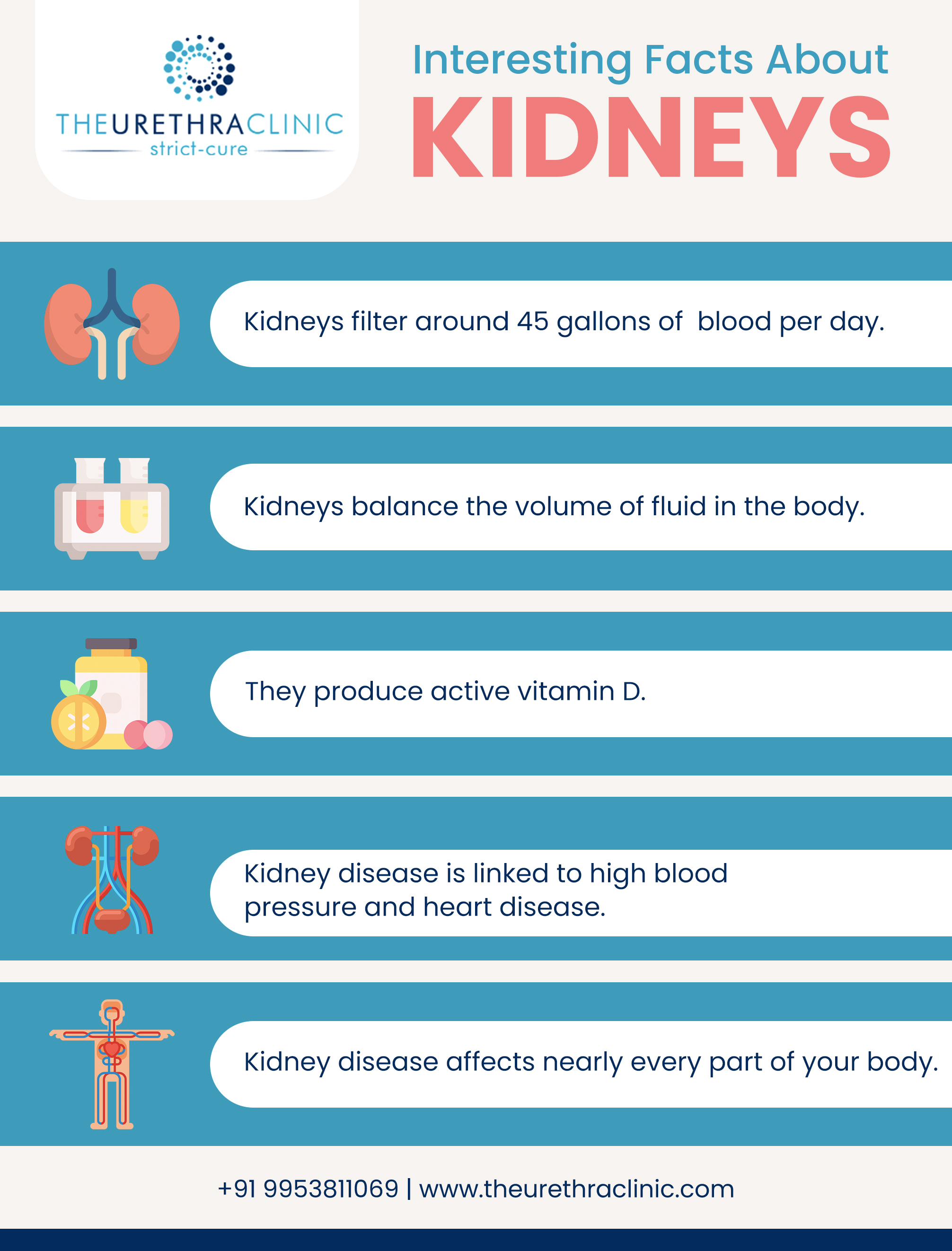 Diabetes and Kidney Disease | Kidney Failure & Diabetic Kidney Disease